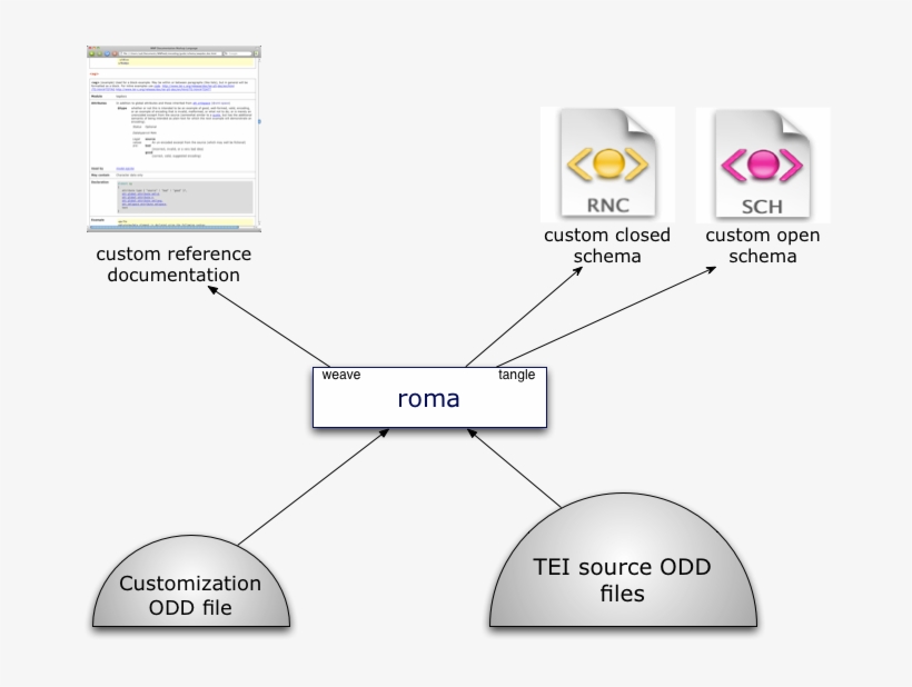 Nutshell Png Transparent PNG - 676x538 - Free Download on NicePNG