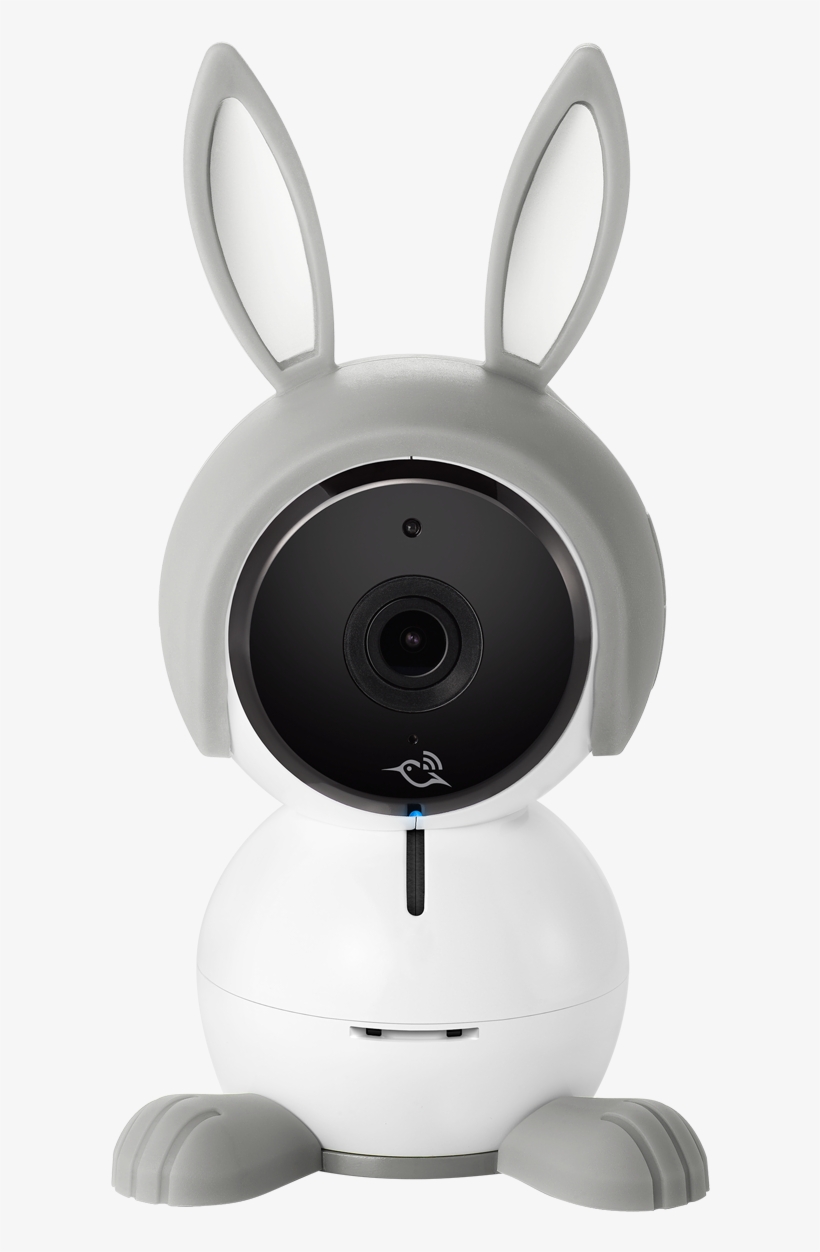 Arlo Baby Transparent PNG - 795x1188 - Free Download on NicePNG