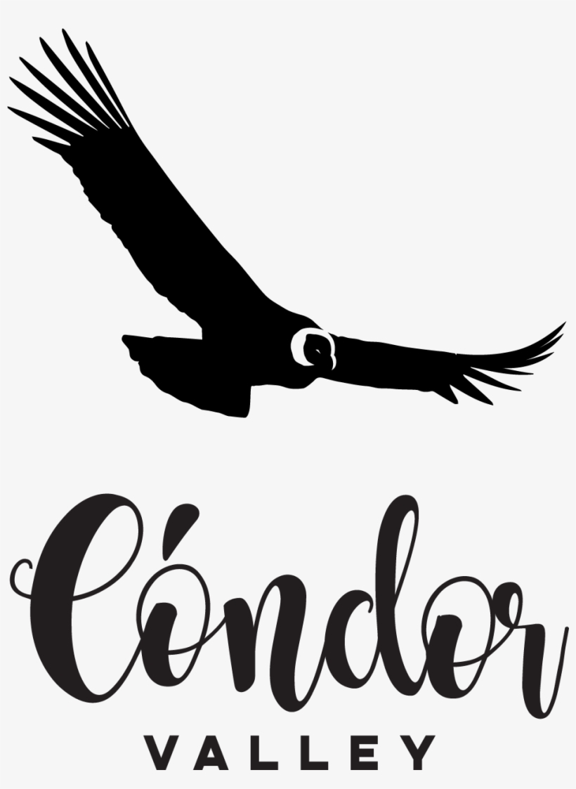 Condor Png Transparent PNG - 950x1255 - Free Download on NicePNG