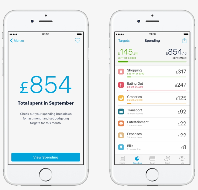 Monzo 1 - Transparent PNG - 970x888 - Free Download on NicePNG