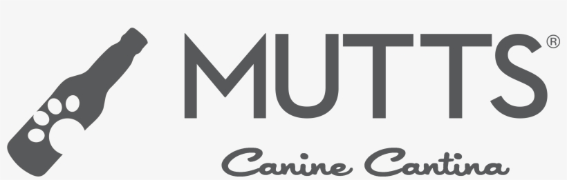 Logo - Squeaky Clean Transparent PNG - 3583x976 - Free Download on NicePNG