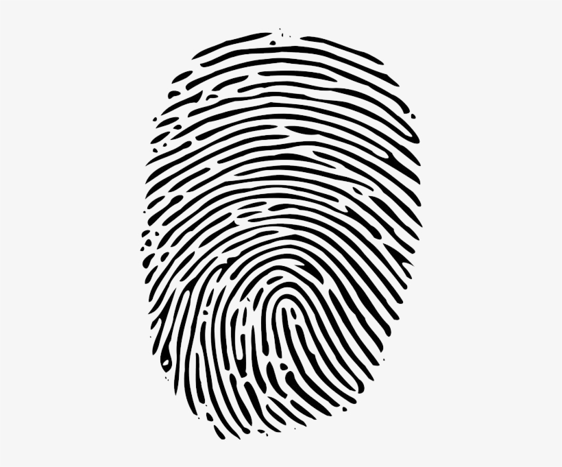 Fingerprint - Fingerprints Clip Art Transparent PNG - 600x600 - Free ...