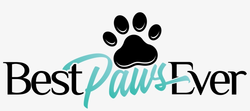 Best Paws Ever Transparent PNG - 2550x1062 - Free Download on NicePNG