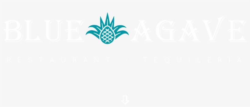 Logo - Agave Transparent PNG - 1200x479 - Free Download on NicePNG