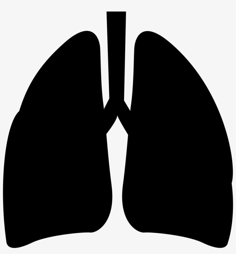 Lungs Dark Png Icon Transparent PNG - 954x980 - Free Download on NicePNG
