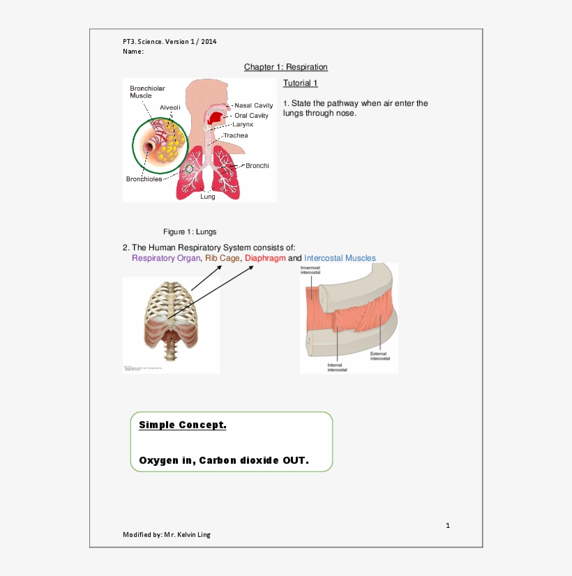Pdf Transparent PNG - 612x792 - Free Download on NicePNG