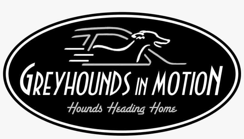 Greyhound Logo Png Transparent PNG - 3300x2550 - Free Download on NicePNG