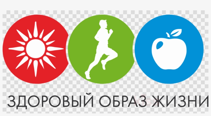 Health Promotion Lifestyle Preventive Healthcare Transparent PNG ...