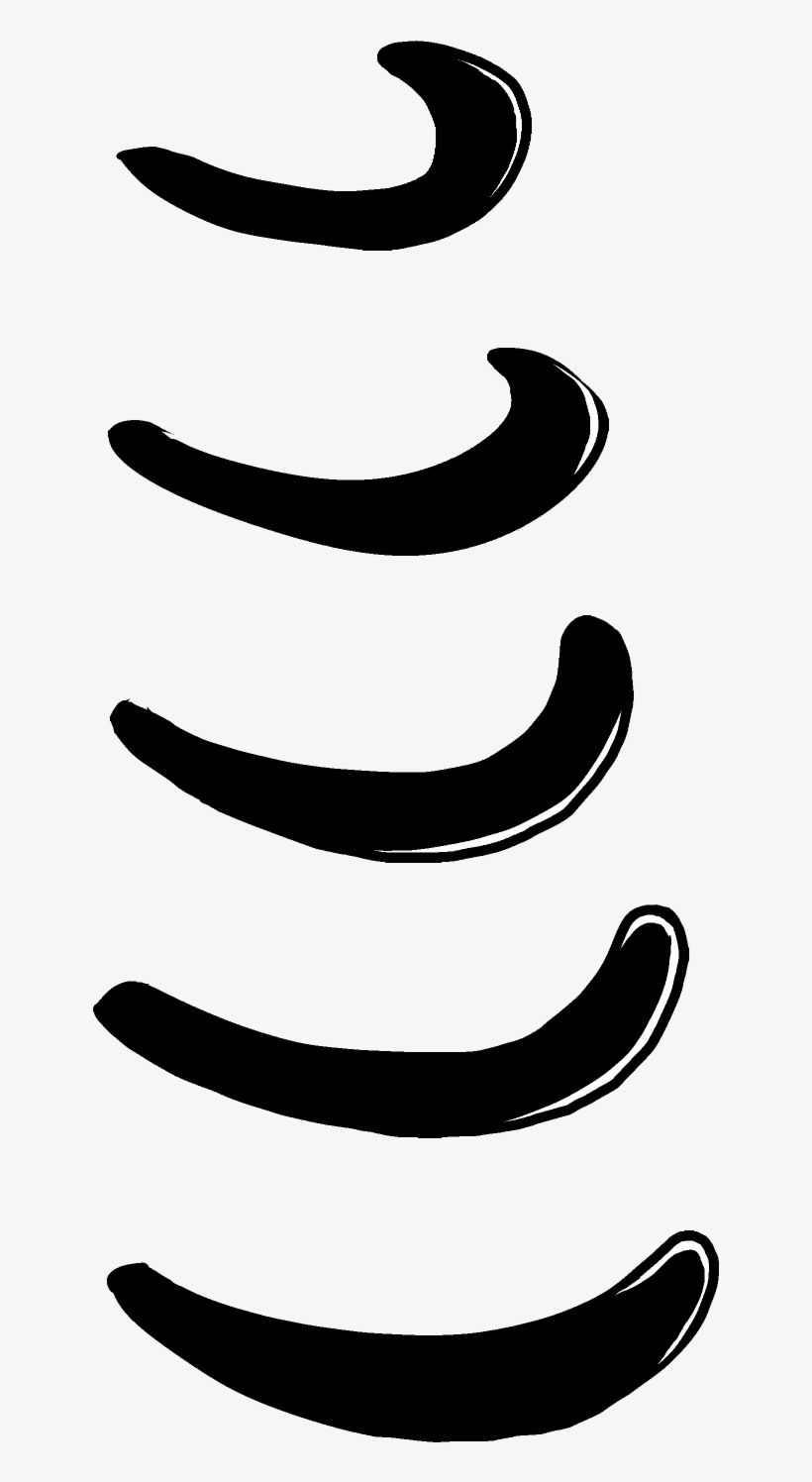 Tails.png Transparent PNG - 642x1425 - Free Download on NicePNG