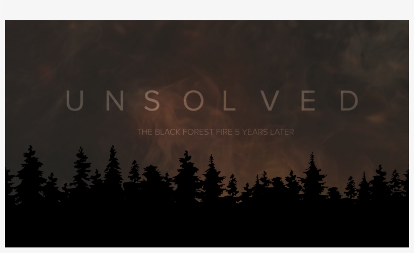 Forest Background Png Transparent PNG - 1920x1080 - Free Download on ...