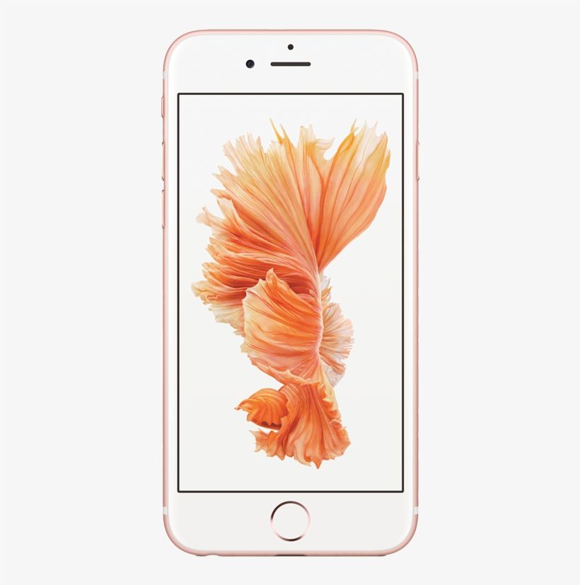 Iphone 6s 32gb Rose Gold Transparent PNG - 750x750 - Free Download on ...
