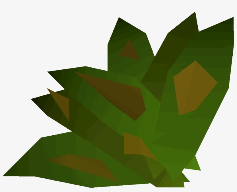 Grimy Ranarr Weed Detail - Herb Osrs Transparent PNG - 972x740 - Free ...