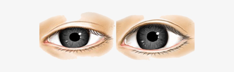 Real Eye Png Clipart - Real Eye Png Transparent PNG - 544x251 - Free ...