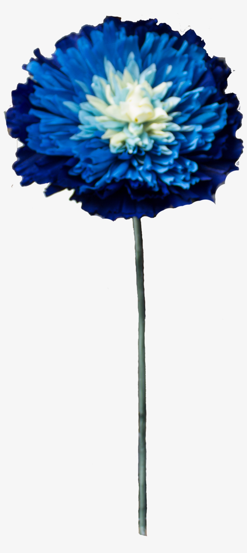 Astra Png Transparent PNG - 1330x2883 - Free Download on NicePNG