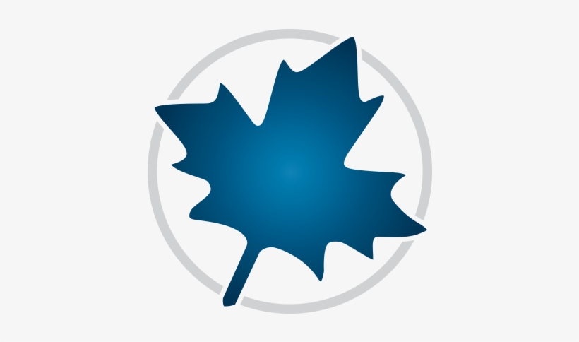 Maple Png Transparent PNG - 768x768 - Free Download on NicePNG