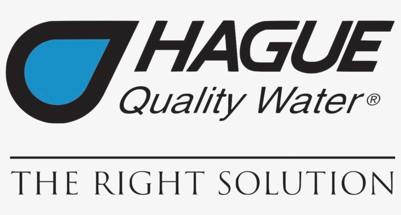 Hague Logo- The Right Solution Transparent PNG - 1000x561 - Free ...