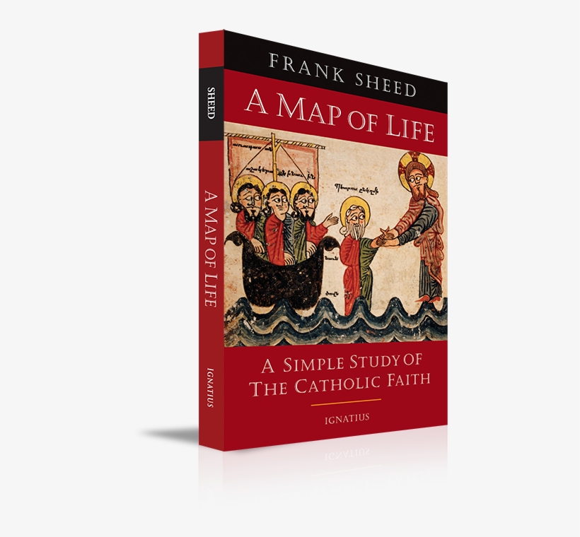 A Map Of Life Book Transparent PNG - 500x703 - Free Download on NicePNG