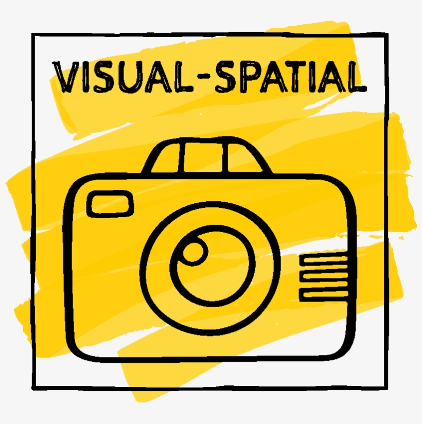 Visual/spatial Transparent PNG - 802x744 - Free Download on NicePNG