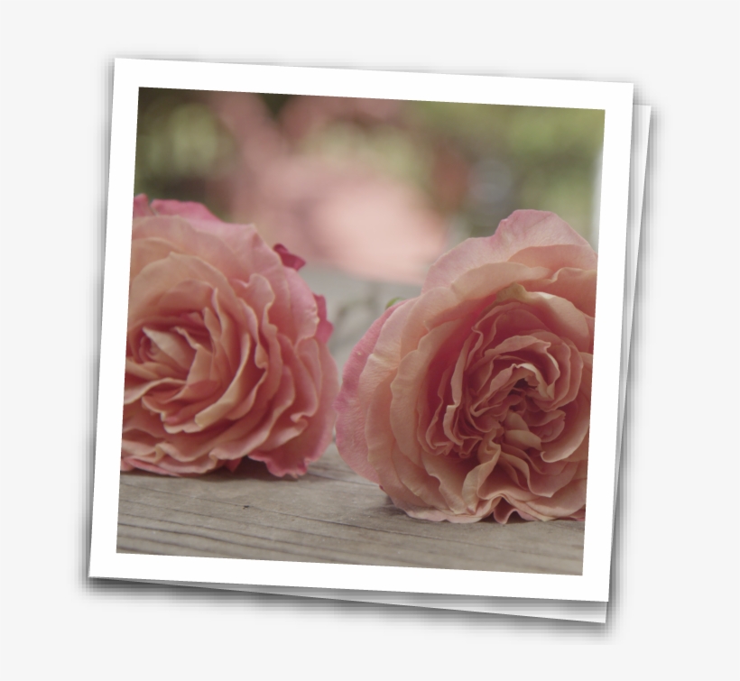 Arts & Crafts - Borax Transparent PNG - 675x675 - Free Download on NicePNG