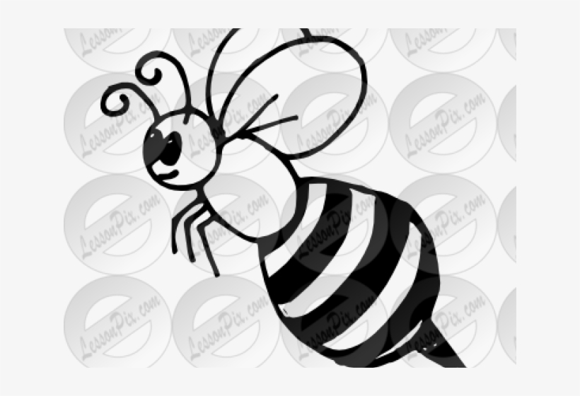 Bee Clipart Outline - Bee Transparent PNG - 640x480 - Free Download on ...