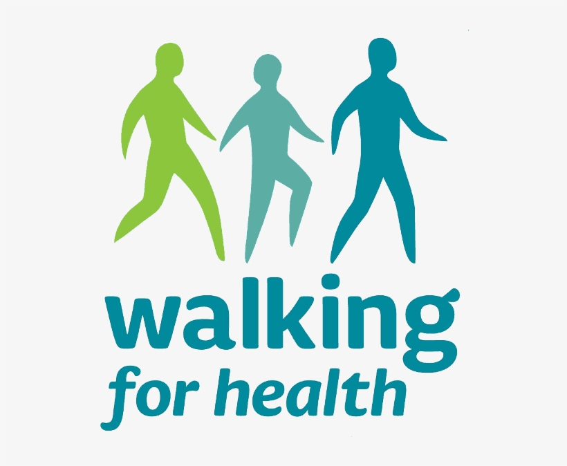 Walking For Health Logo - Walk To Health Transparent PNG - 538x594 ...