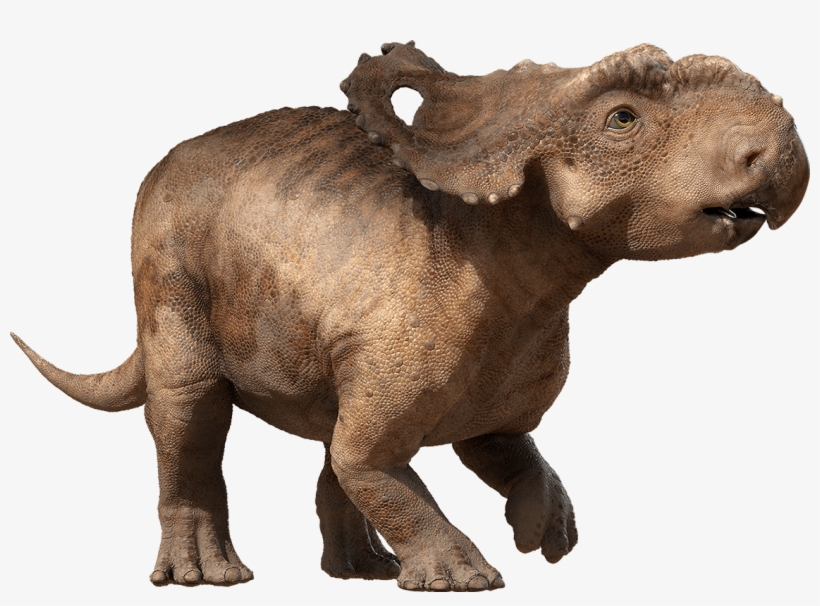 Patchi - Walking With Dinosaurs Young Patchi Transparent PNG - 1135x784 ...