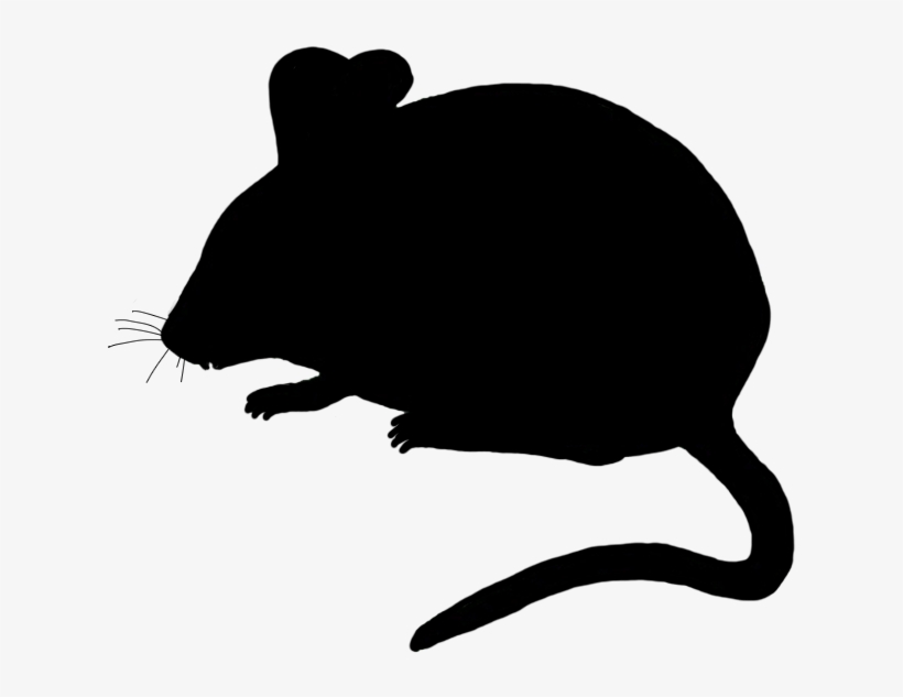Cute Mouse Silhouette - Mouse Silhouette Clip Art Transparent PNG ...