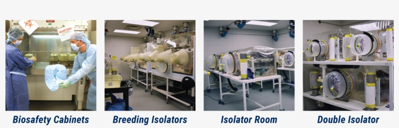 Germ-free Mouse Facility Housing Options - Electric Fan Transparent PNG ...