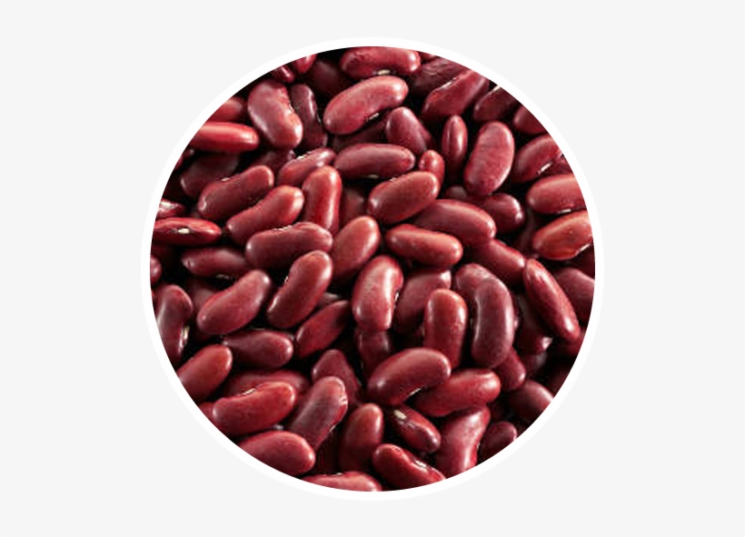 Kidney Beans Png Transparent PNG - 842x595 - Free Download on NicePNG