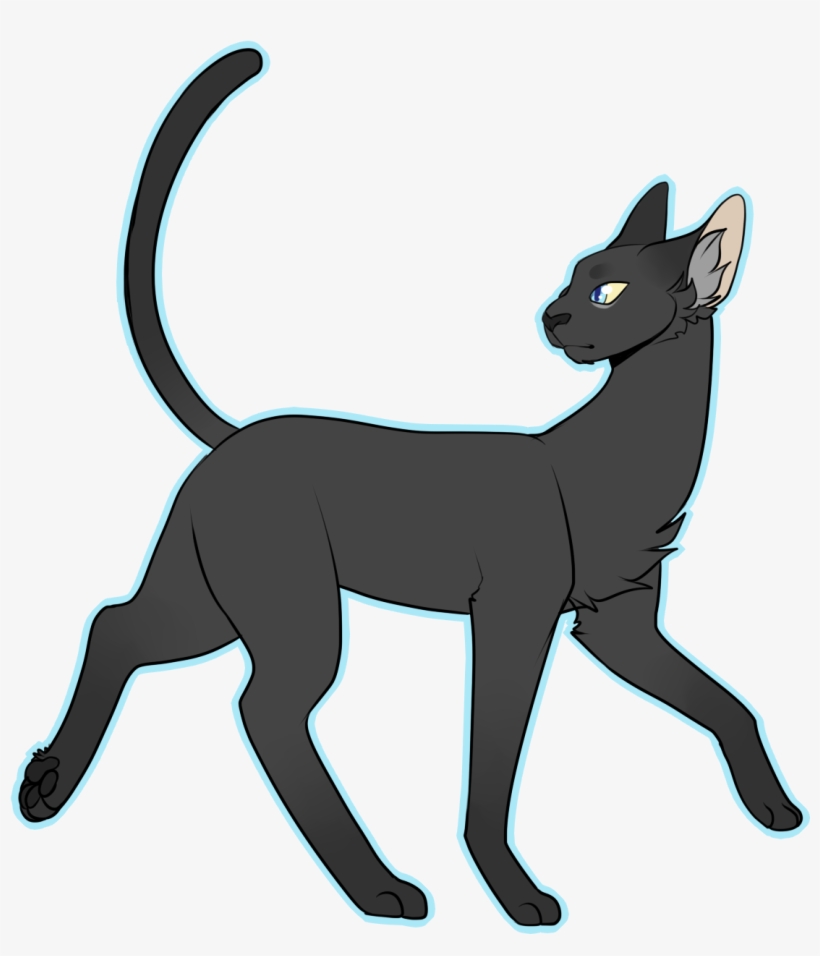 Crowfeather Based Him Off My Own Cats Body Type Transparent PNG ...