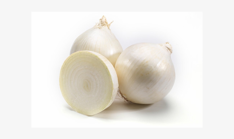 Cebolla Blanca Transparent PNG - 600x600 - Free Download on NicePNG