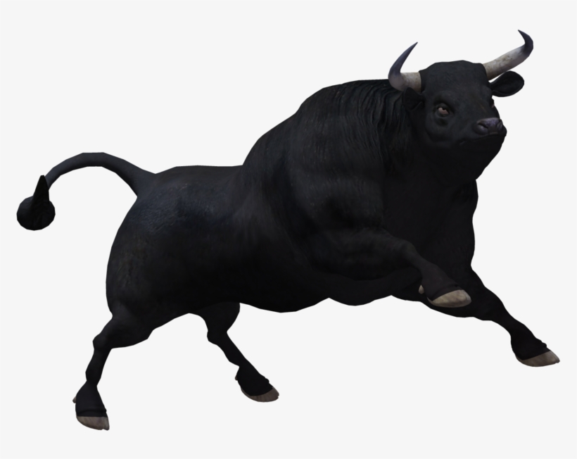 Download Bull Png Clipart - Bull Png - HD Transparent PNG - NicePNG.com
