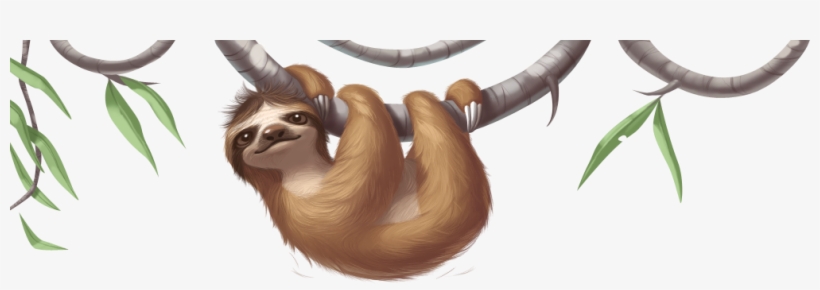 Three-toed Sloth Transparent PNG - 1006x307 - Free Download on NicePNG