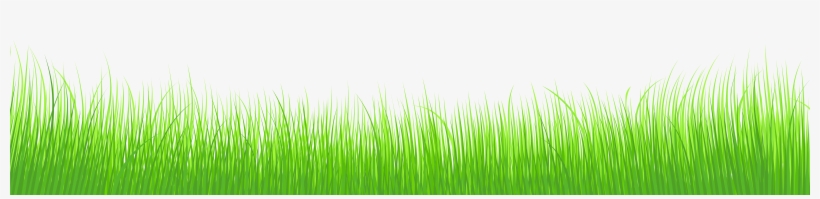 Small Border Grass Year Round