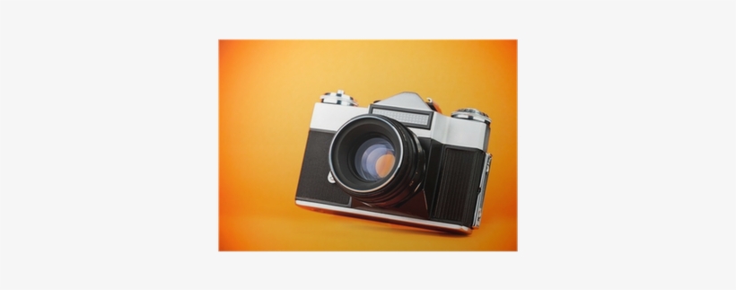 Komar Wall Mural Transparent PNG - 400x400 - Free Download on NicePNG