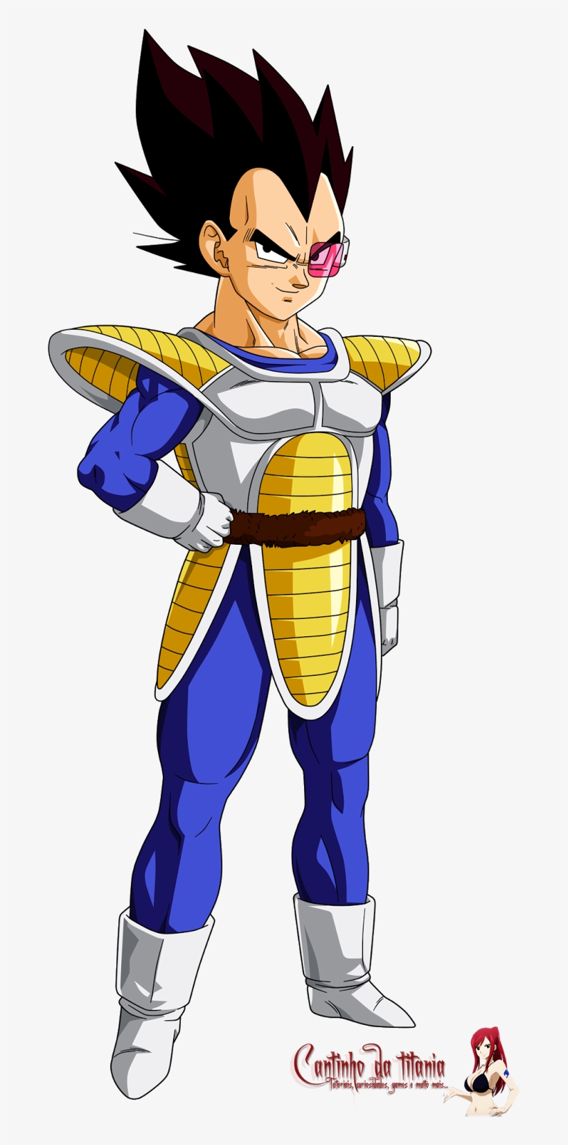Vegeta1 Transparent PNG - 824x1600 - Free Download on NicePNG