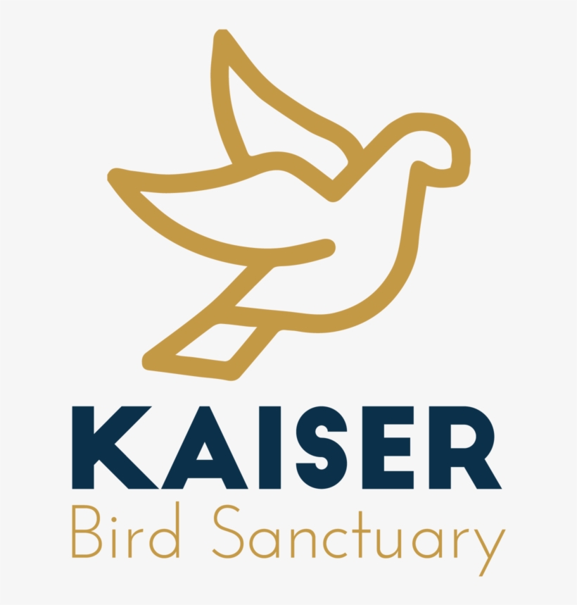 Proposal Logo 01 Transparent PNG - 1000x1000 - Free Download on NicePNG