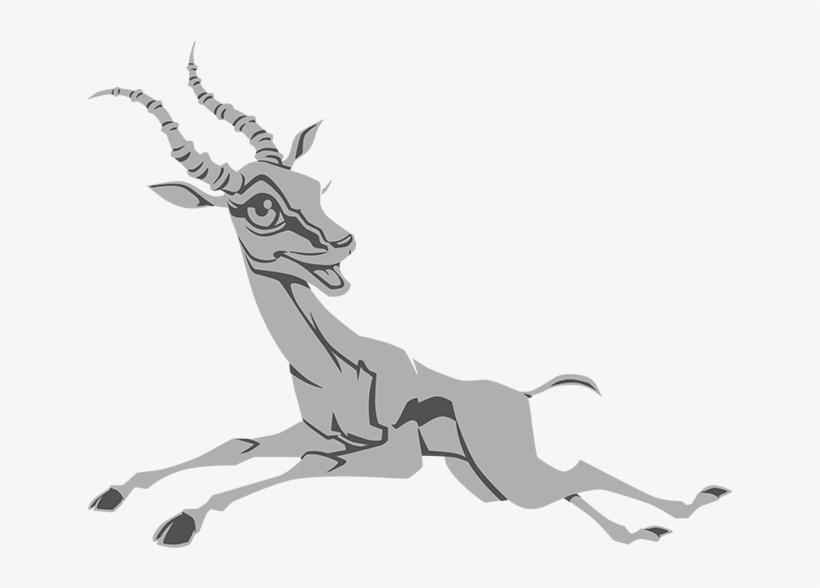 Gazelle Png Transparent PNG - 1024x576 - Free Download on NicePNG