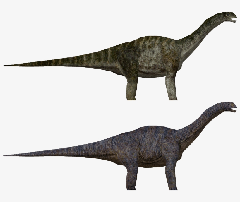 Stegosaurus Png Transparent PNG - 800x610 - Free Download on NicePNG