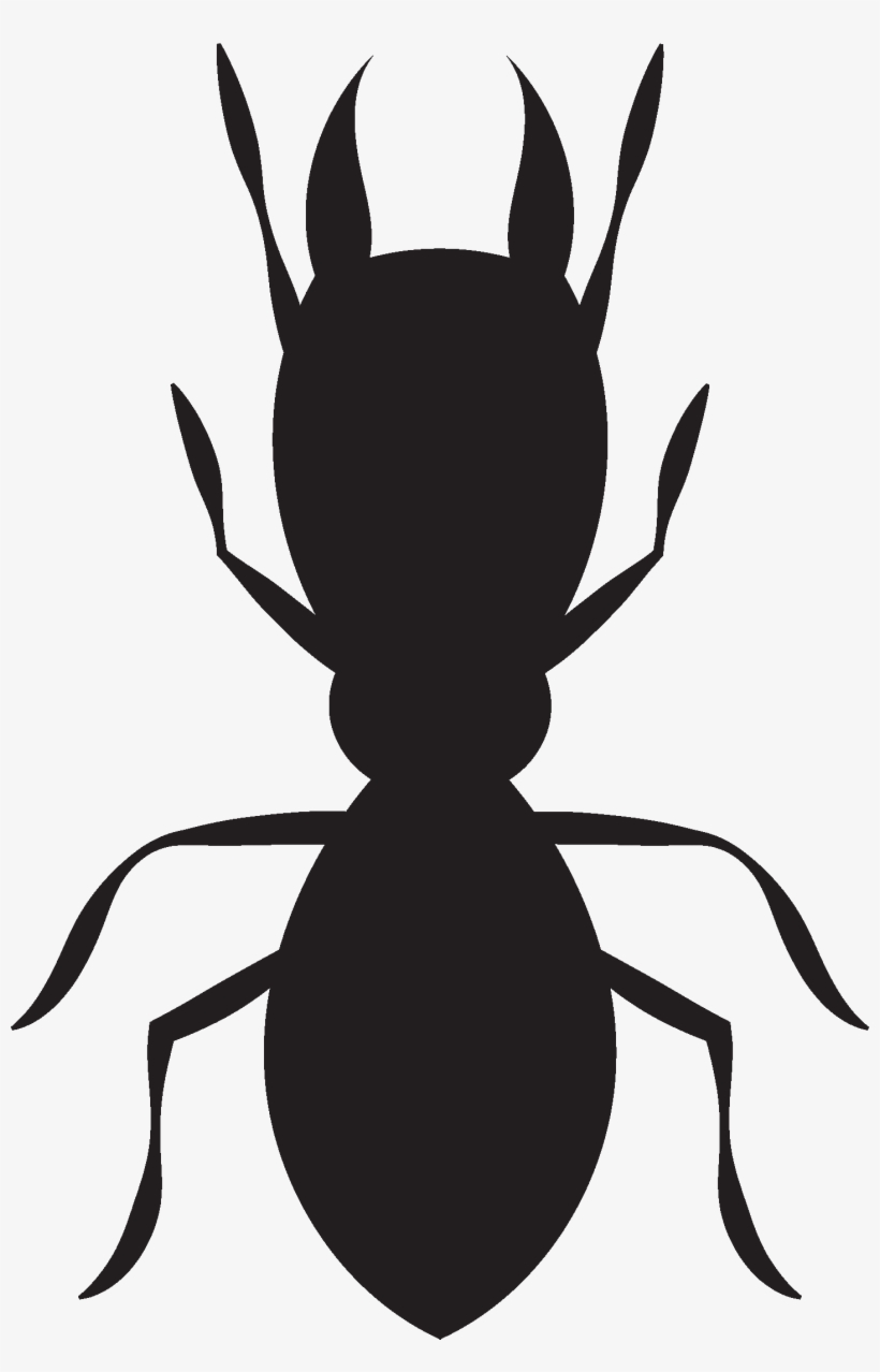Termite Transparent PNG - 1434x2166 - Free Download on NicePNG