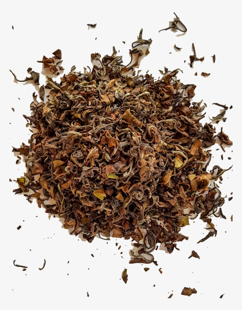 Dry Leaves Png Transparent PNG - 756x1024 - Free Download on NicePNG