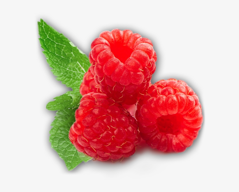 Rraspberry Png Image - Raspberry Png Transparent PNG - 600x600 - Free ...