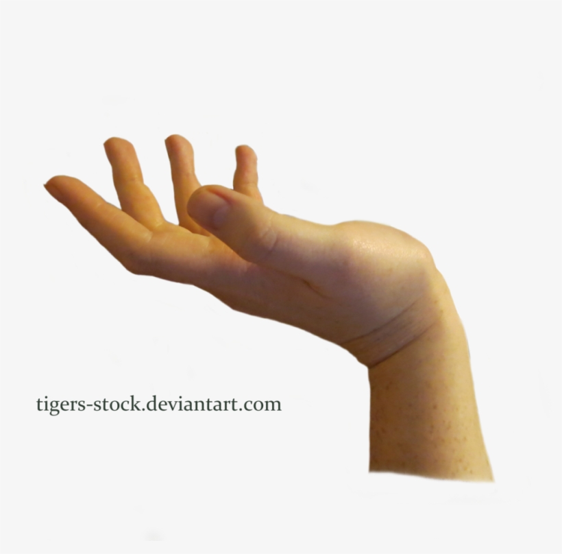 Transparent Hands Male - Hand Png Transparent PNG - 1024x929 - Free ...