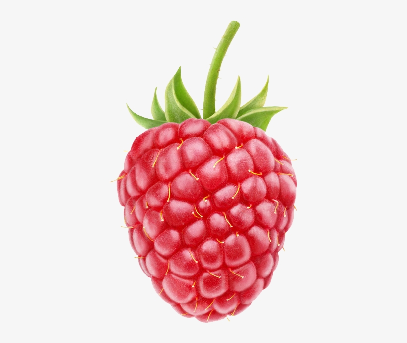 Raspberry High-quality Png - Raspberry Transparent Transparent PNG ...