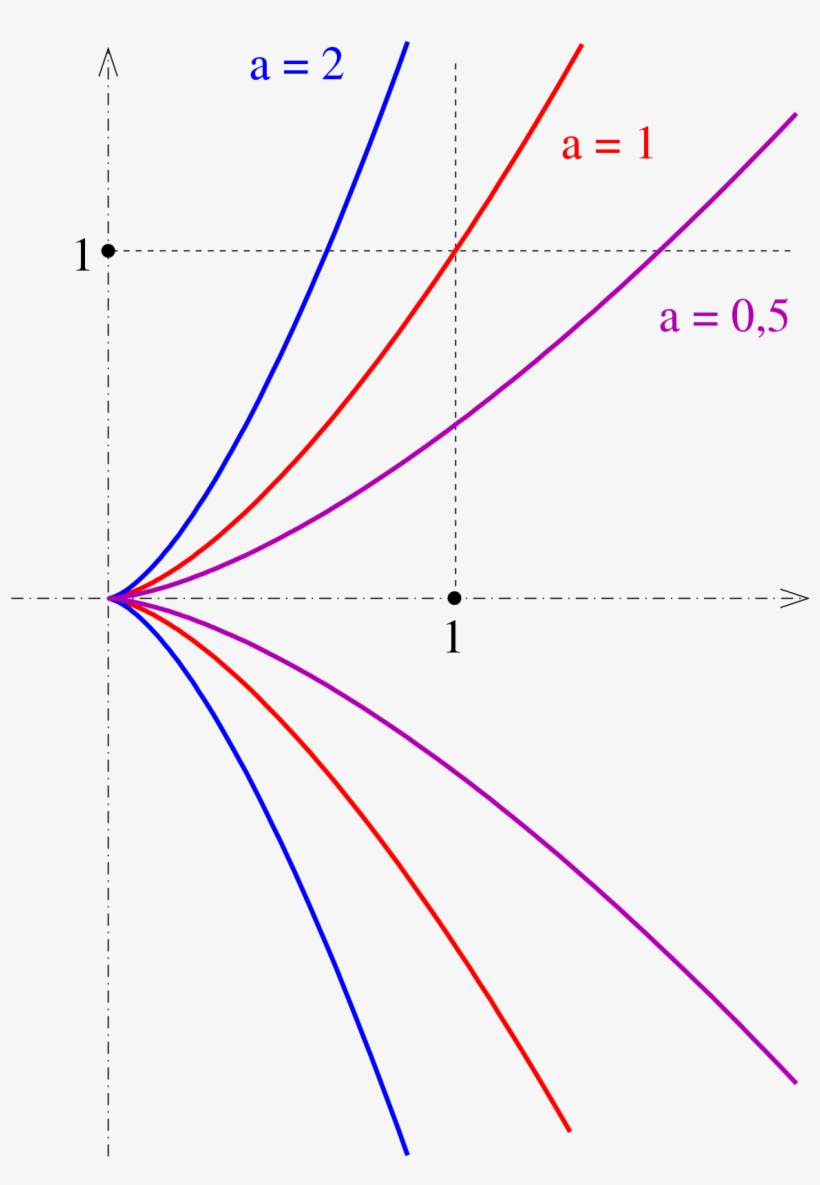 Parabola Png Transparent PNG - 1200x1666 - Free Download on NicePNG