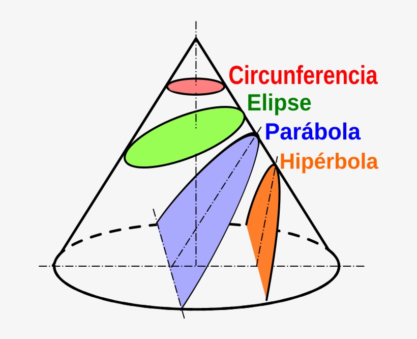 En Matemática, La Parábola Es La Sección Cónica Resultante Transparent ...