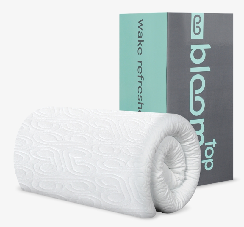 1 Transparent PNG - 973x973 - Free Download on NicePNG