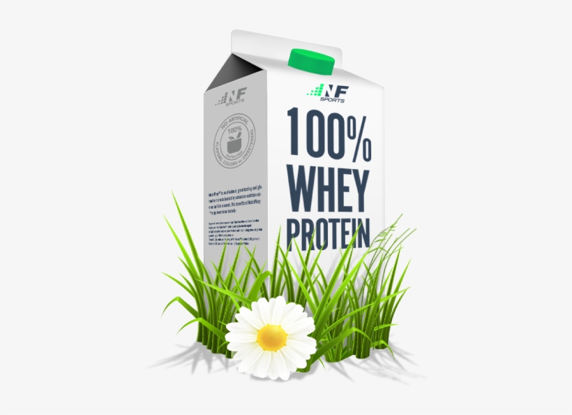 Whey Protein Transparent PNG - 800x550 - Free Download on NicePNG
