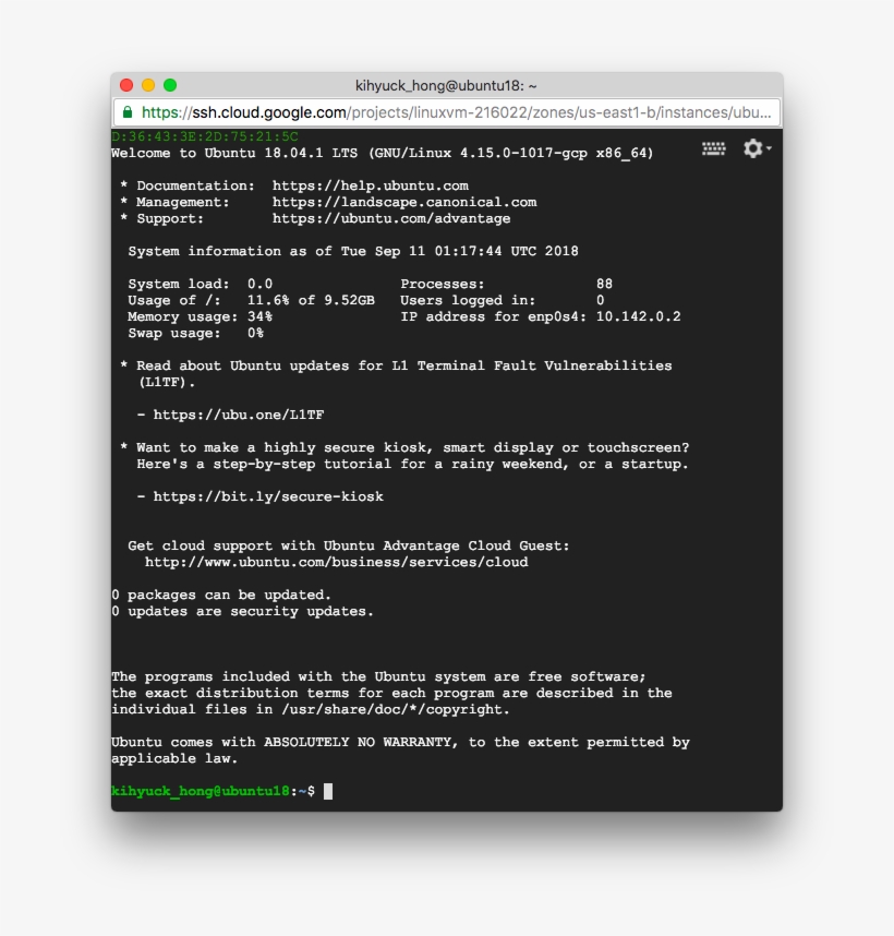 Ssh-shell Transparent PNG - 728x789 - Free Download on NicePNG
