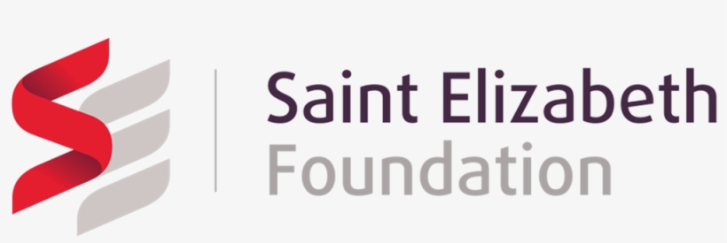 Se Foundation Logo Transparent PNG - 1000x393 - Free Download on NicePNG
